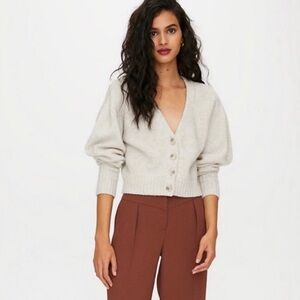 Aritzia | Sweaters | Aritzia Wilfred Poesy Button Front Heather Espace ...